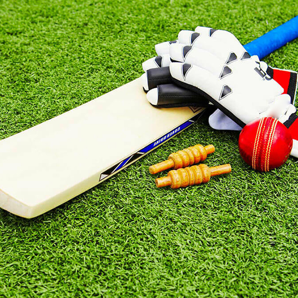 cricket equp | Solly M Sports Online Store
